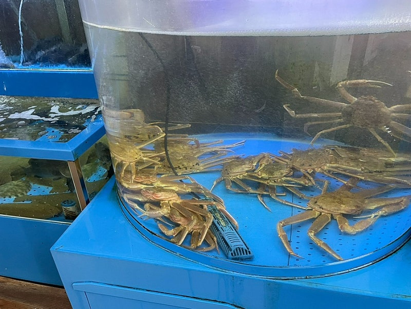 바다이야기 용이점 가을맞이 대하 소금구이 통우럭 매운탕 평택 용이동 꿀맛 횟집 추천 네이버 블로그