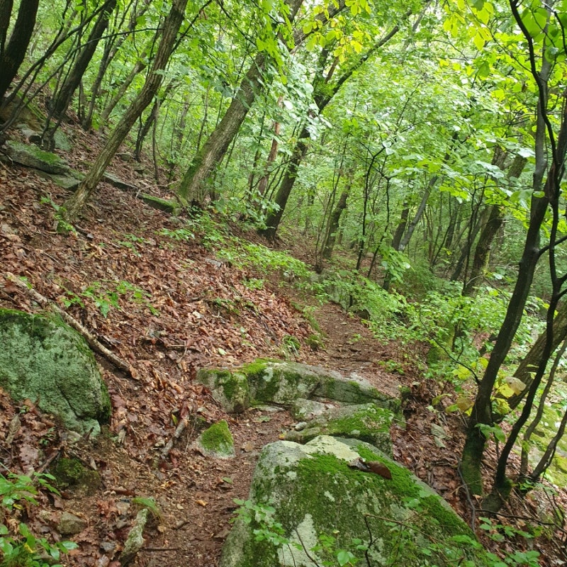 포천 청계산 최단코스 멍석갈비 출발 청계저수지 화장실and주차장 한북정맥 50 인증 달성 네이버 블로그