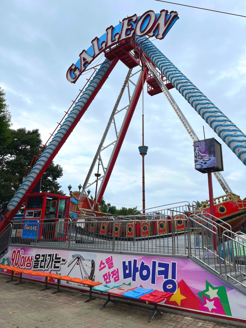 대구 수성못 놀거리 호반 수성랜드 오리배 코스모스 산책로 네이버 블로그