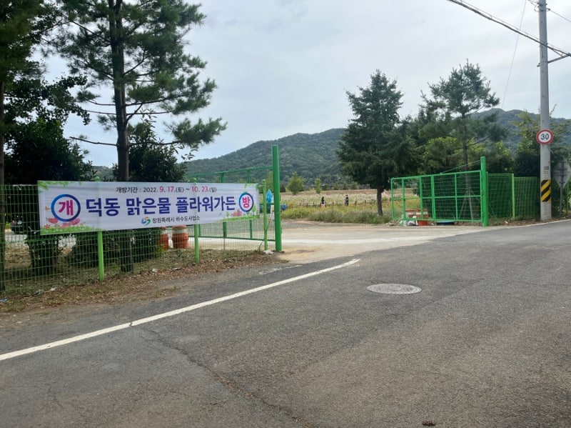 창원근교 마산 가포 덕동 맑은물 플라워가든 개방 917~1023 네이버 블로그