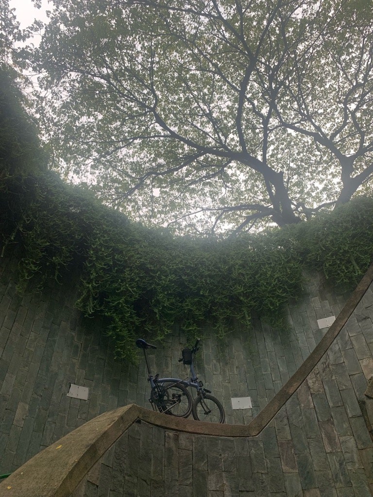 [싱가포르] 포트 캐닝 공원 : Fort Canning Park : 네이버 블로그