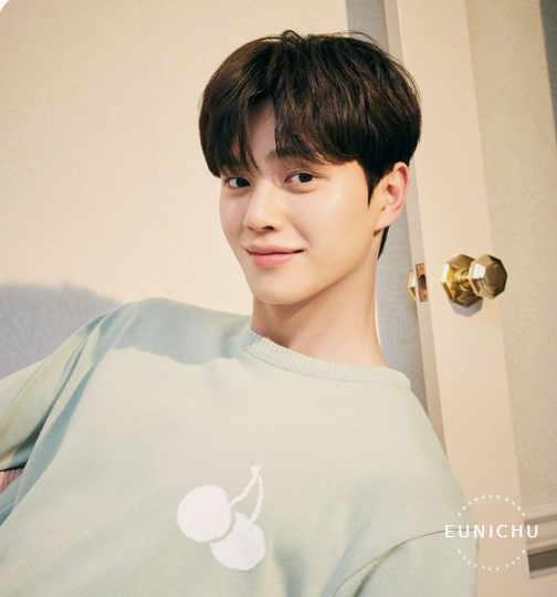 차은우 머리 남자 연예인 헤어스타일 남자 펌 종류 쉐도우펌 시스루 애즈펌 가르마펌 네이버 블로그