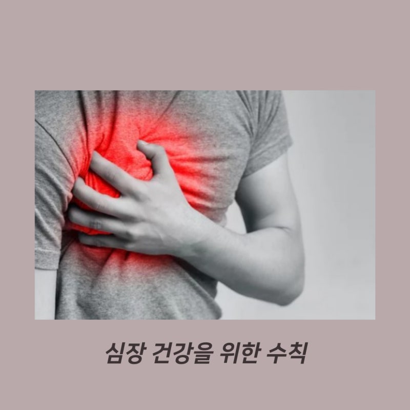 부정맥 증상 빈맥 서맥 원인과 치료 네이버 블로그