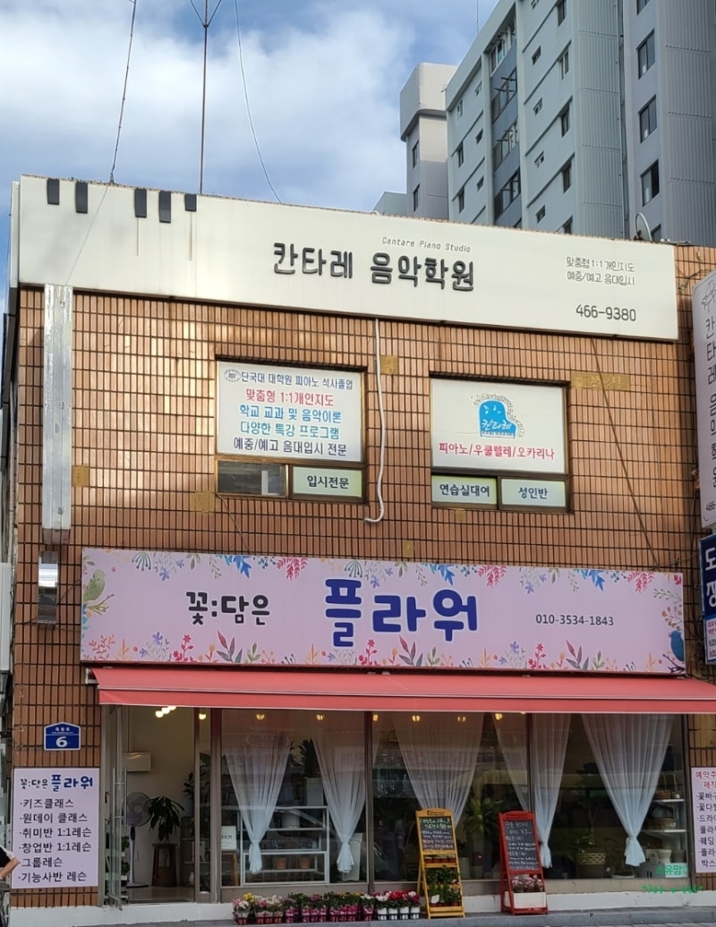 군산 꽃집 수송동 꽃담은 플라워 감동받다 네이버 블로그