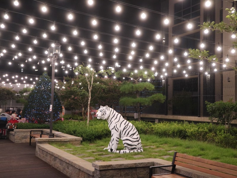 진주충무공동 범맥주 진주혁신점 안주 분위기 모두 핫한 진주 혁신도시 술집 네이버 블로그