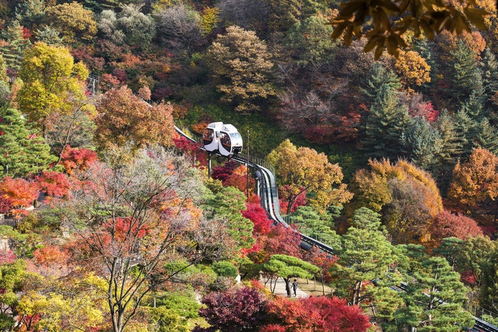 단풍구경 제대로 하는 경기도 광주 곤지암 화담숲 예약방법 모노레일 꿀팁 네이버 블로그