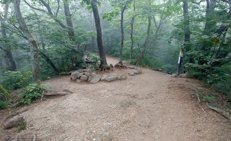 설악산 등산코스 대청봉 최단 코스 오색코스로남설악탐방지원센터 올라가기 네이버 블로그