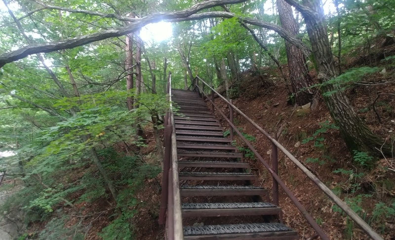 설악산 등산코스 대청봉 최단 코스 오색코스로남설악탐방지원센터 올라가기 네이버 블로그