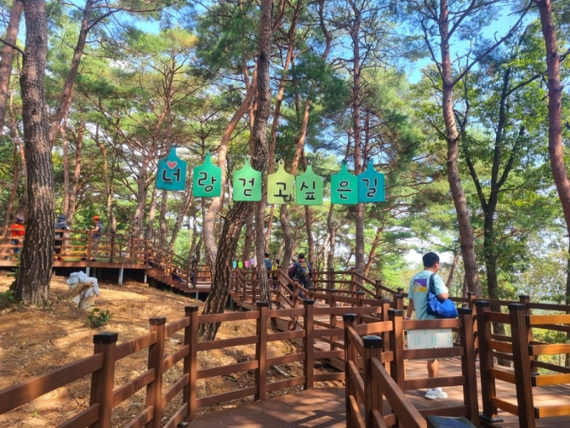 원주 소금산 그랜드밸리 왕복 꿀팁등산시간 매표소 코스 네이버 블로그