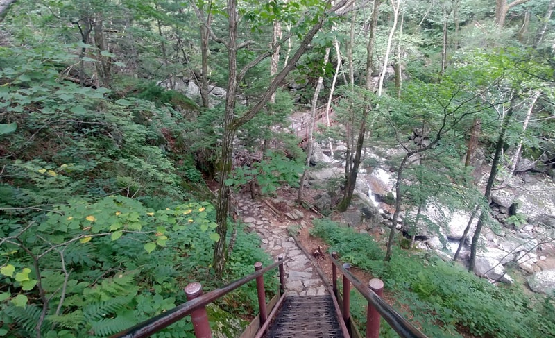 설악산 등산코스 대청봉 최단 코스 오색코스로남설악탐방지원센터 올라가기 네이버 블로그