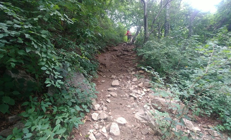 설악산 등산코스 대청봉 최단 코스 오색코스로남설악탐방지원센터 올라가기 네이버 블로그