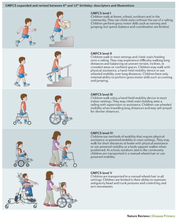 소아(발달지연, 뇌성마비, 염색체 etc)의 평가방법 - 대동작기능평가(GMFM)와 대동작기능분류(GMFCS LEVEL ...