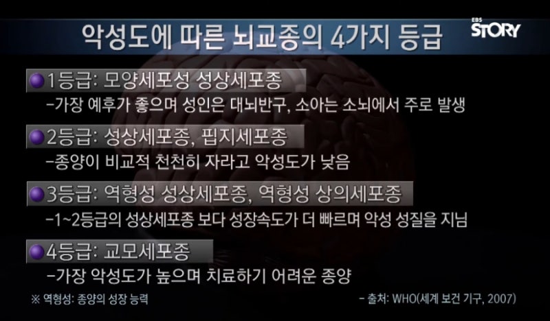 뇌종양 진단등급★양성뇌종양과 악성뇌종양 구분방법★뇌하수체선종 네이버 블로그