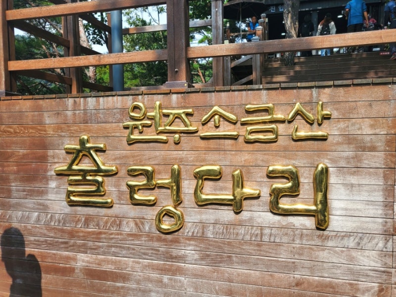 원주 소금산 그랜드밸리 왕복 꿀팁등산시간 매표소 코스 네이버 블로그