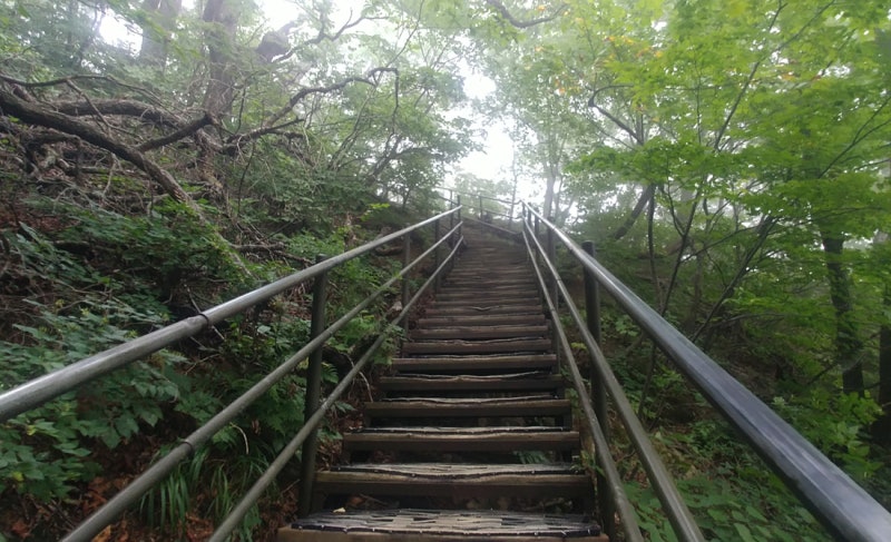설악산 등산코스 대청봉 최단 코스 오색코스로남설악탐방지원센터 올라가기 네이버 블로그