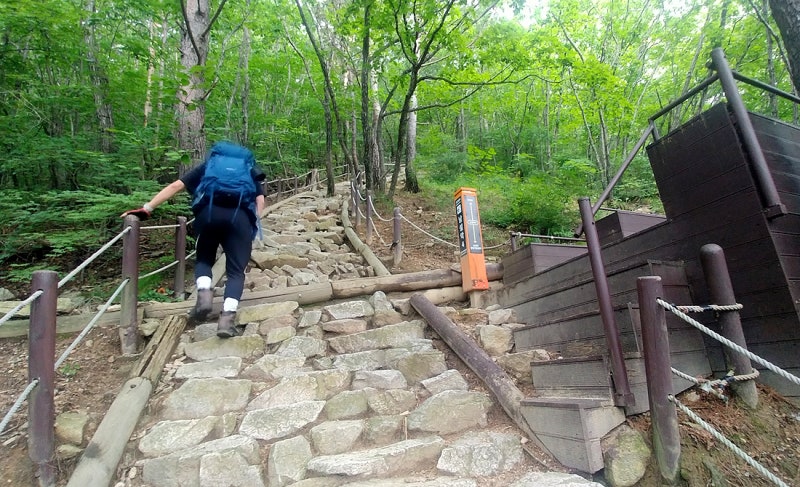 설악산 등산코스 대청봉 최단 코스 오색코스로남설악탐방지원센터 올라가기 네이버 블로그