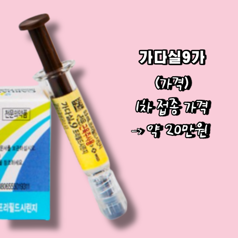 자궁경부암 예방접종 주사 가다실 9가 가격 남자 백신 부작용 나이 접종기간 인유두종 바이러스 네이버 블로그