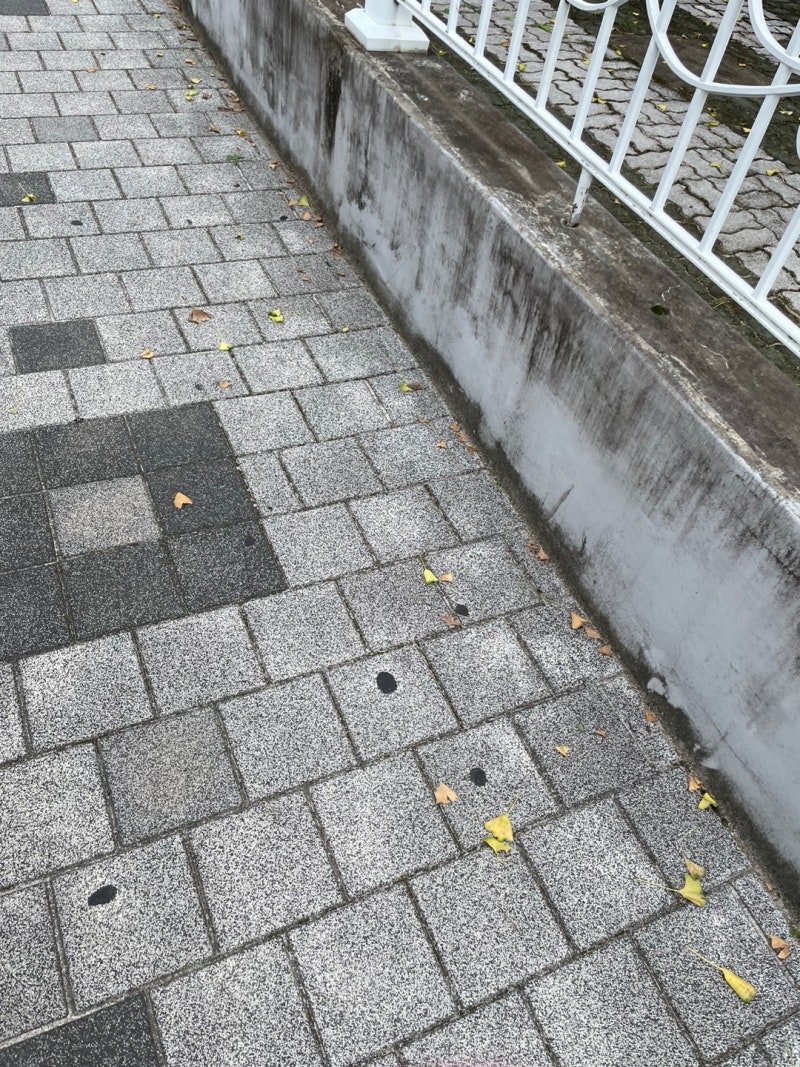 낙엽청소기는 교성이엔티 레칸 LS70 LS980 무동력청소기로 간편하게 : 네이버 블로그
