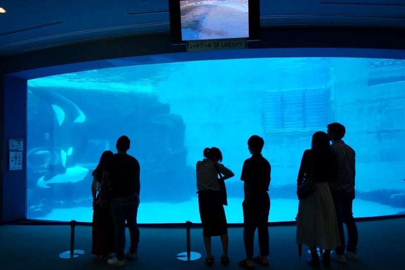 일본 나고야 여행 기초정보,일정 추천,관광지(지도) : 사카에,나고야성,TV타워(미라이타워),오아시스21,오스상점거리&오스칸논 ...