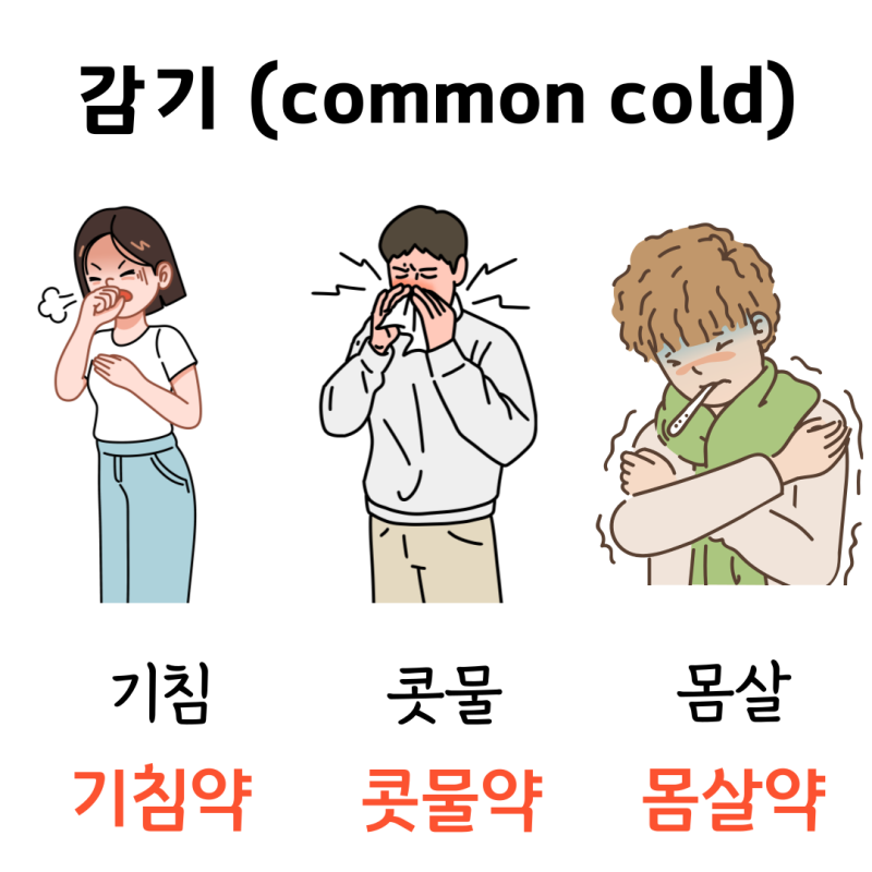 감기약먹고 술 먹어도 되나요 기침약 콧물약 몸살약 먹고 술 부작용 감당하실 수 있으시겠습니까 네이버 블로그