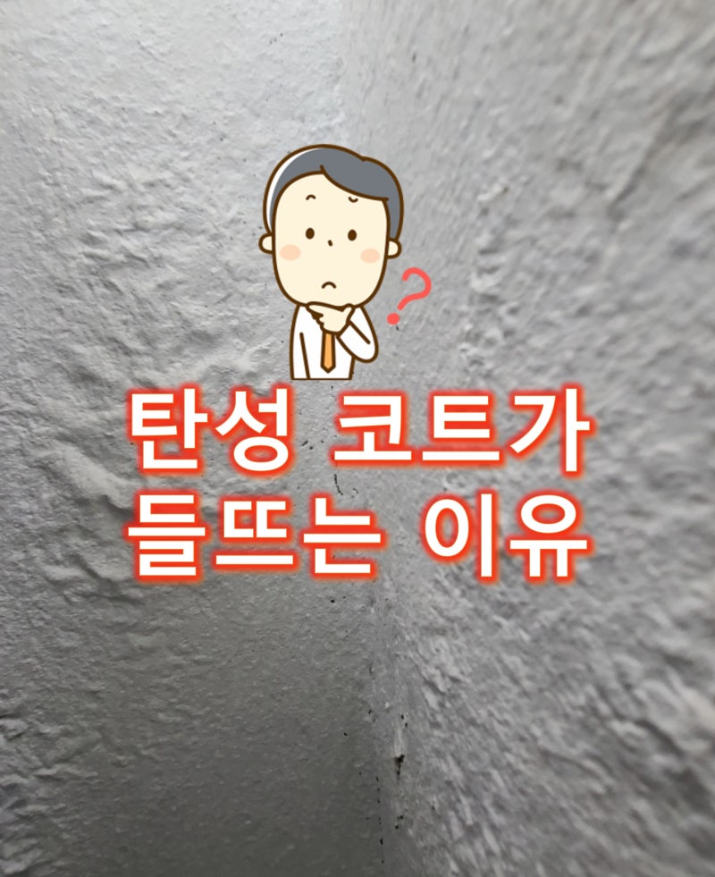 11년 베란다 탄성코트 하자보수 경험으로 쓰는 베란다 바이오세라믹 탄성코트 들뜸 박리 벗겨짐 하자 탄성코트 곰팡이 원인 분석