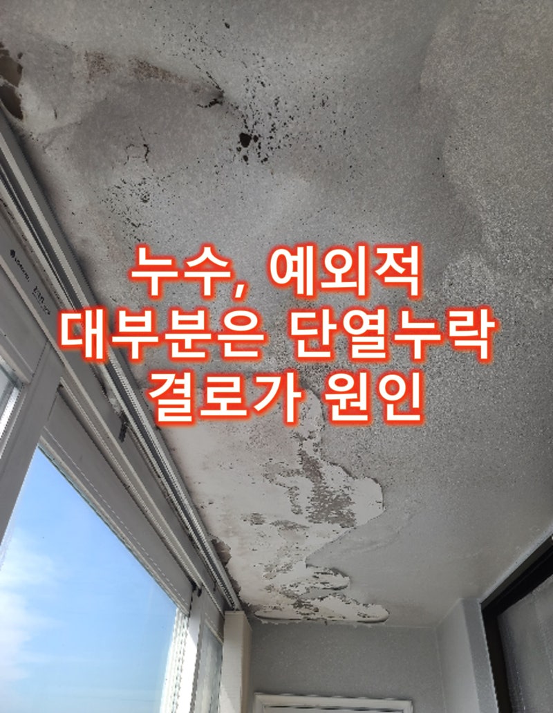 11년 베란다 탄성코트 하자보수 경험으로 쓰는 베란다 바이오세라믹 탄성코트 들뜸 박리 벗겨짐 하자 탄성코트 곰팡이 원인 분석
