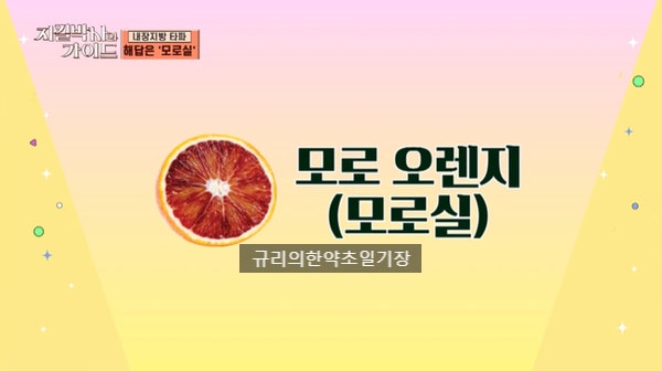모로실 가루 분말 효능 모로오렌지 부작용 네이버 블로그