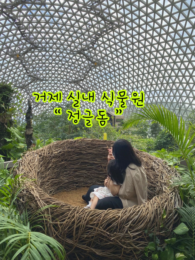 거제 아기랑 가볼만한곳 실내 식물원 정글돔 네이버 블로그