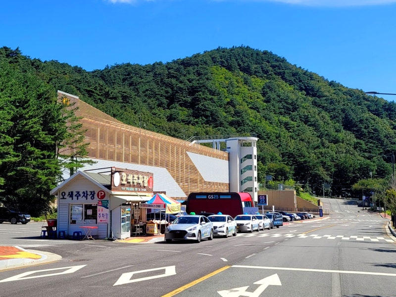 설악산 흘림골 예약방법 및 흘림골 탐방안내센터 가는방법 주차정보 설악산단풍시기 네이버 블로그