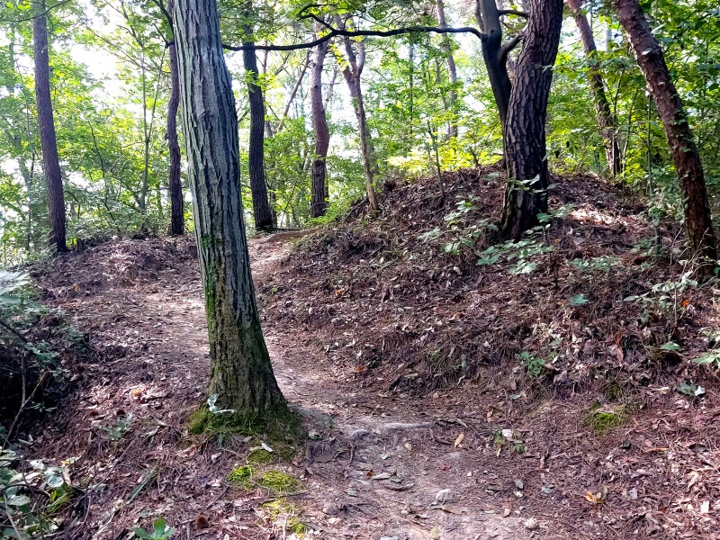 청주 걷기좋은 길 상당산성자연휴양림 상당산성 힐링숲 등산로 상당산성 코스2022 9 23 네이버 블로그