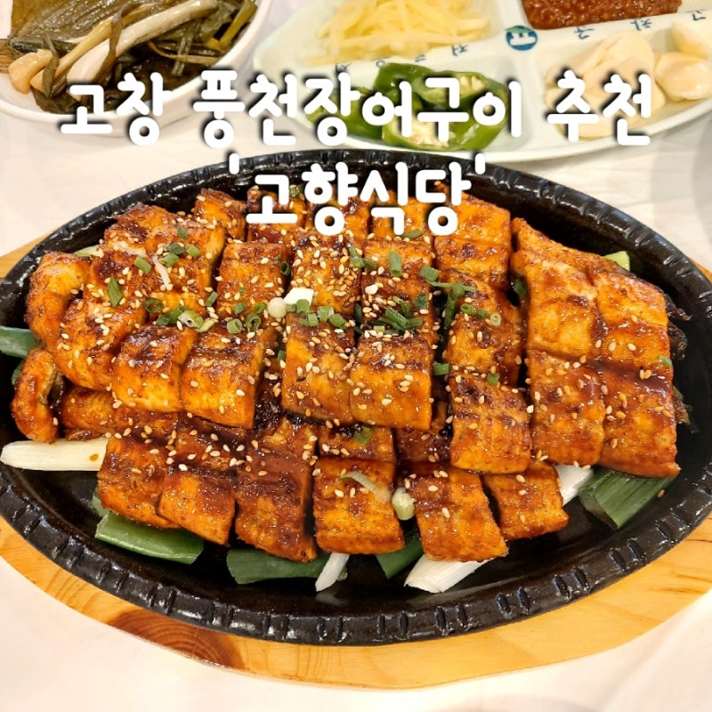 고창 선운사 맛집 고향식당에서 풍천장어먹고 힘을 내요 네이버 블로그