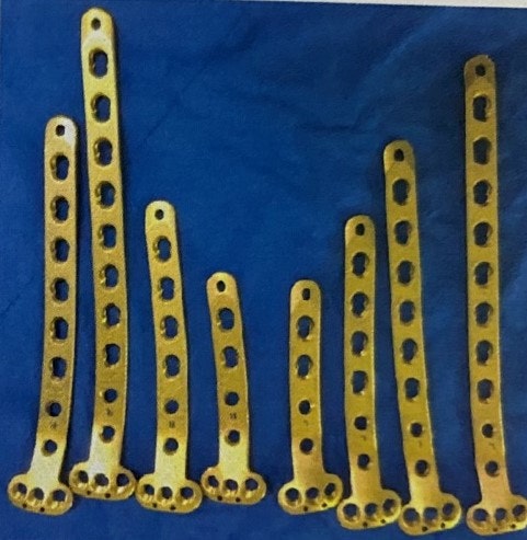 os신규,plate종류,lcp,rcp,dcp,anatomical plate : 네이버 블로그