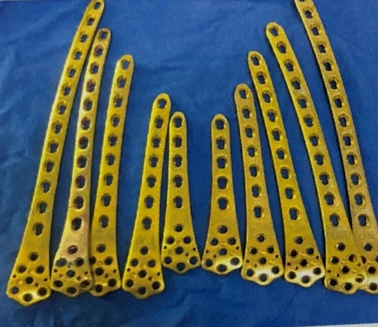 os신규,plate종류,lcp,rcp,dcp,anatomical plate : 네이버 블로그