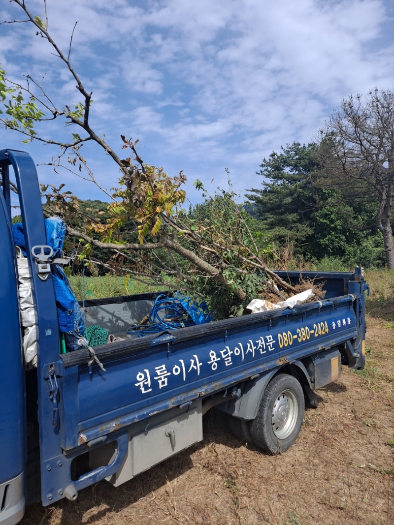 🏠수동면용달이사 ️운수리용달이사🚵‍♂️입석리용달이사🚚송천리용달이사🚛지둔리용달이사🚚수산리용달이사🚛내방리용달이사🚚외방리용달이사🚛