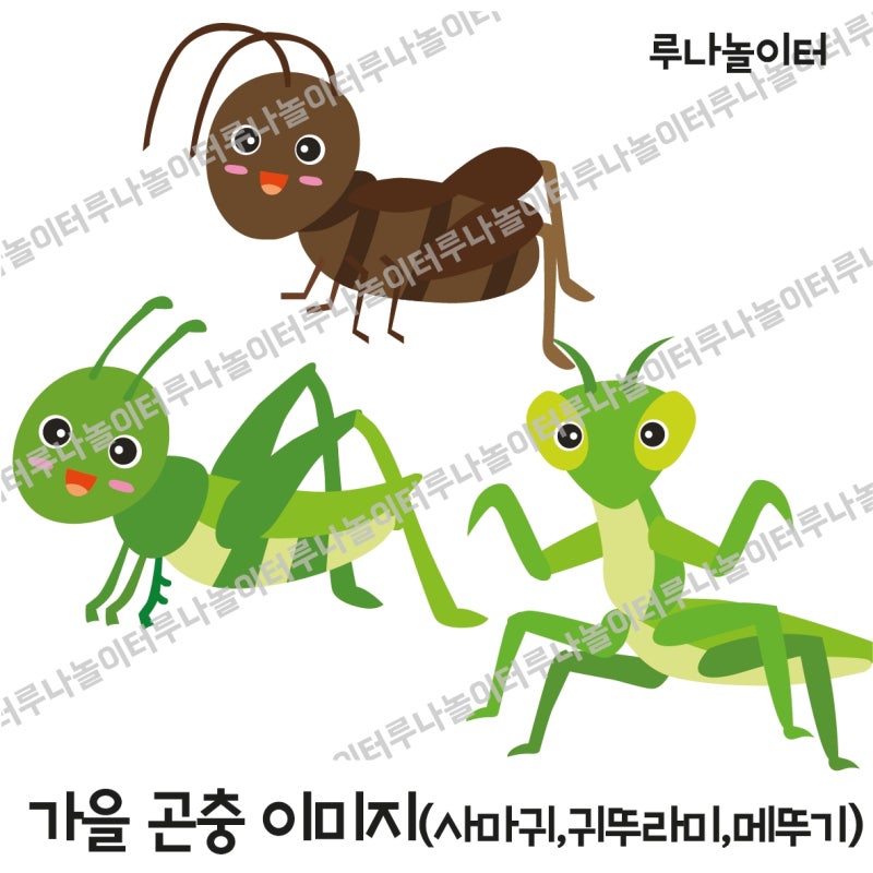 참새 이미지 가을 참새 이미지 가을밤 줍기 행사 가을 곤충 이미지 가을 곤충 합성 몸통 가을 활동지 도안