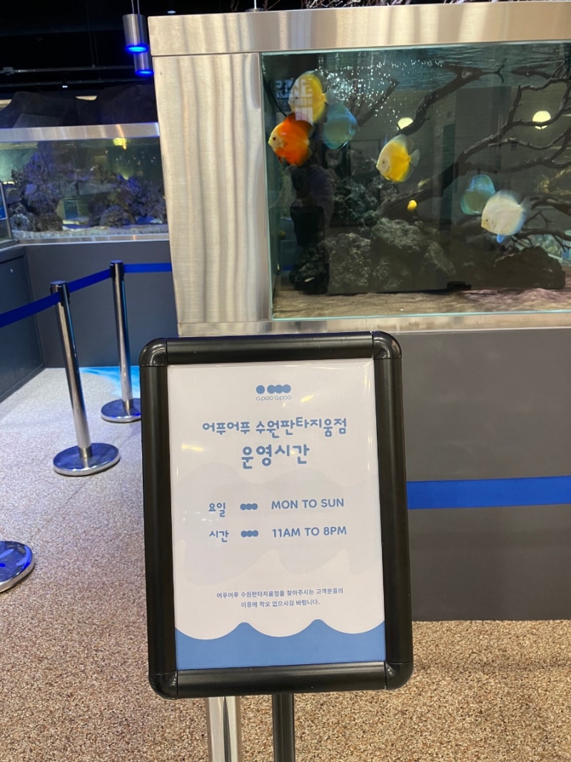 아이와 함께가기 좋은 영통 판타지움 아쿠아카페 어푸어푸 물고기파충류 체험활동 네이버 블로그