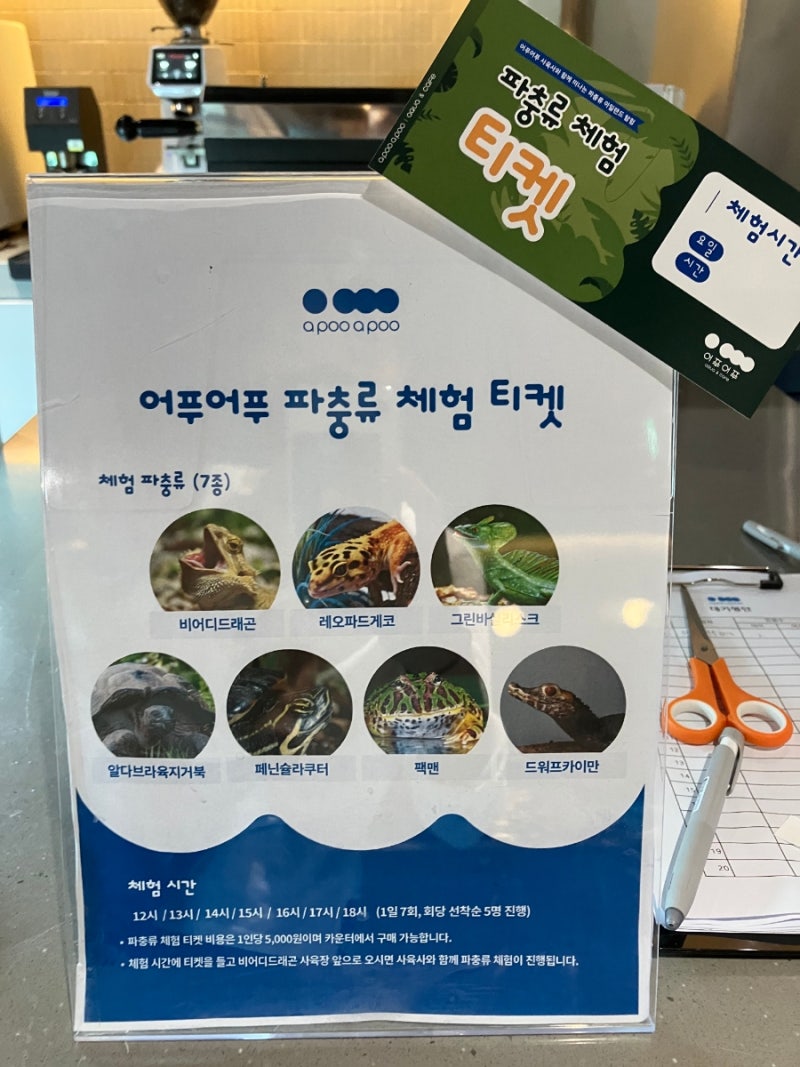 아이와 함께가기 좋은 영통 판타지움 아쿠아카페 어푸어푸 물고기파충류 체험활동 네이버 블로그