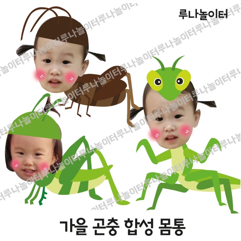 참새 이미지 가을 참새 이미지 가을밤 줍기 행사 가을 곤충 이미지 가을 곤충 합성 몸통 가을 활동지 도안