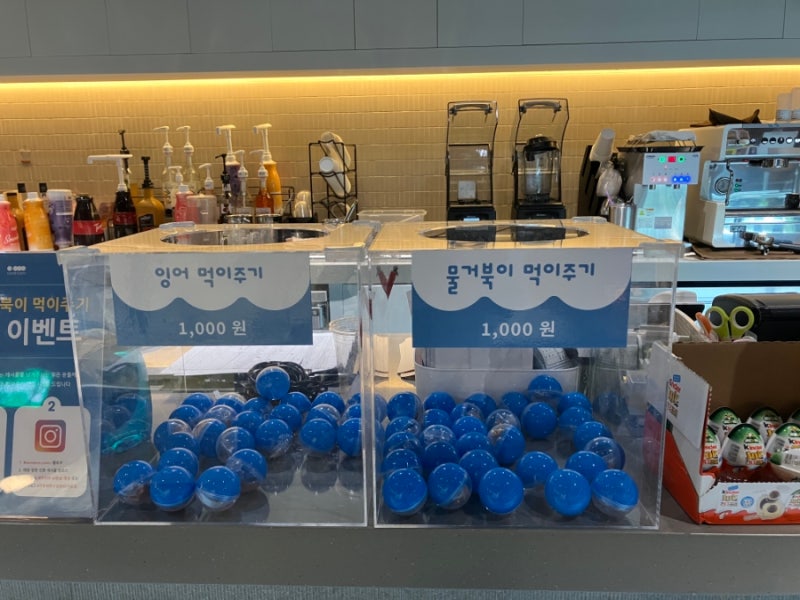 아이와 함께가기 좋은 영통 판타지움 아쿠아카페 어푸어푸 물고기파충류 체험활동 네이버 블로그