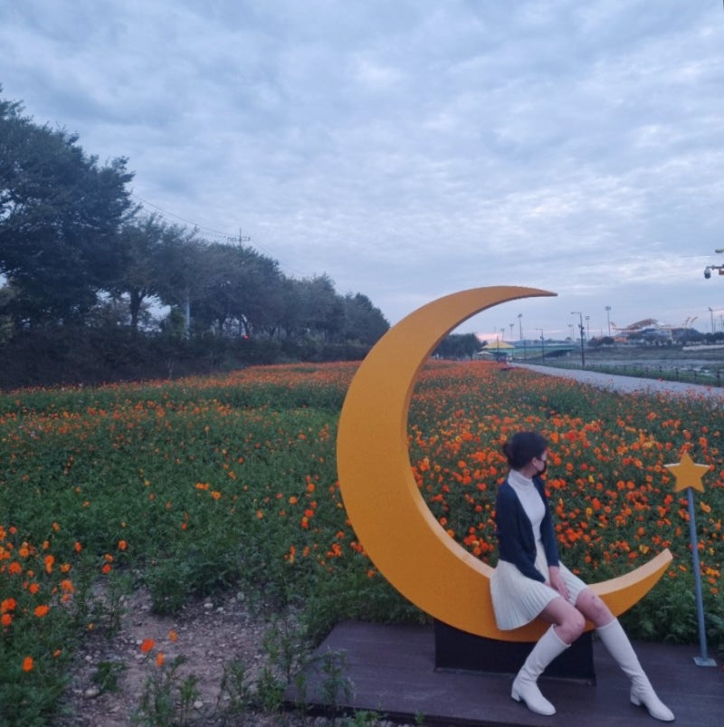 장성 가볼만한곳 백양사 장성호 수변길 출렁다리 황룡강생태공원 가을꽃축제 관광지 네이버 블로그
