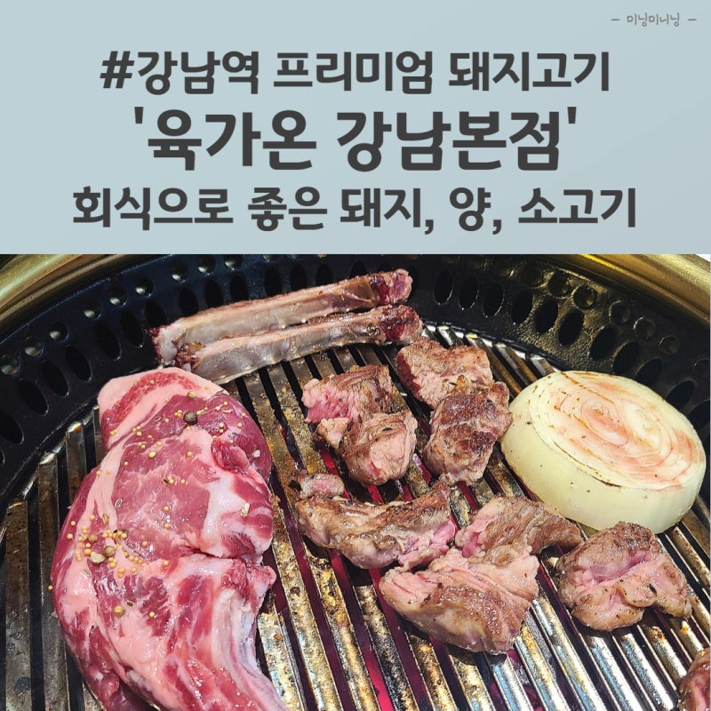 강남역 모임장소 강남역 삼겹살 프리미엄 돼지고기 맛집 육가온 네이버 블로그