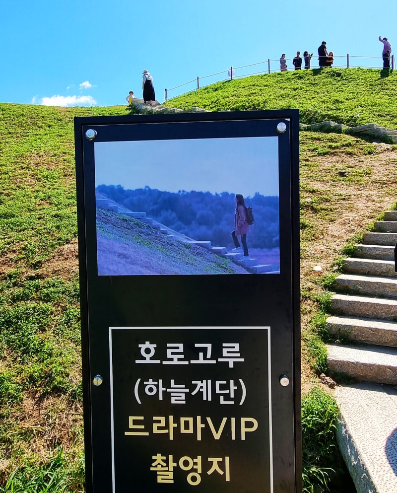 연천 호로고루 해바라기 축제연천 나들이하기 좋은 곳 네이버 블로그