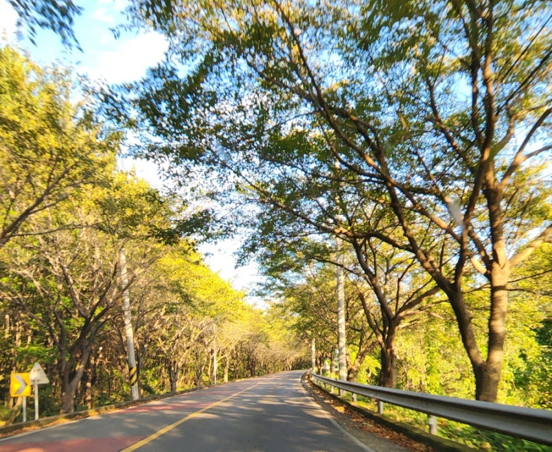 진주 월아산 자연휴양림 숲속의 집에서 가을을 만끽하고 왔어요 네이버 블로그