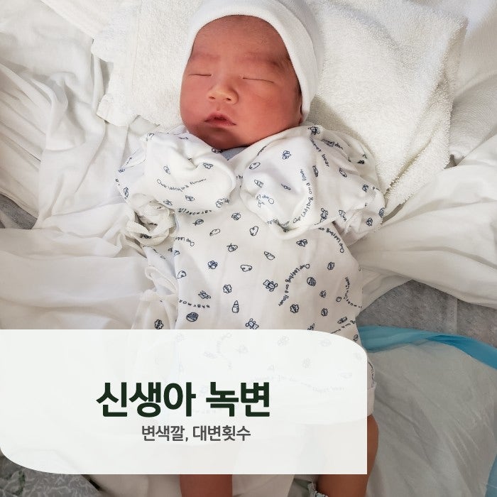 신생아 녹변 신생아 변색깔신생아 대변횟수변상태신생아 태변with 색깔별 차트 네이버 블로그
