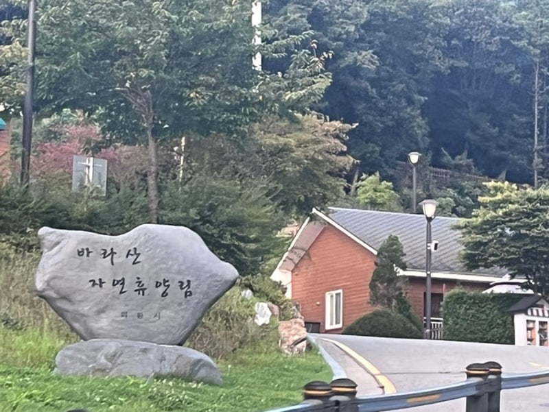 의왕 바라산 자연휴양림 / 내돈내산 청계산동 1호 숙박 후기 : 네이버 블로그