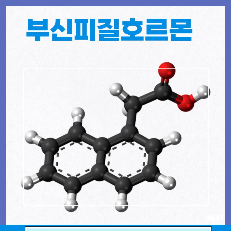 부신피질호르몬 이상 질환 쿠싱증후군 증상 원인 치료 알도스테론 코르티솔 네이버 블로그
