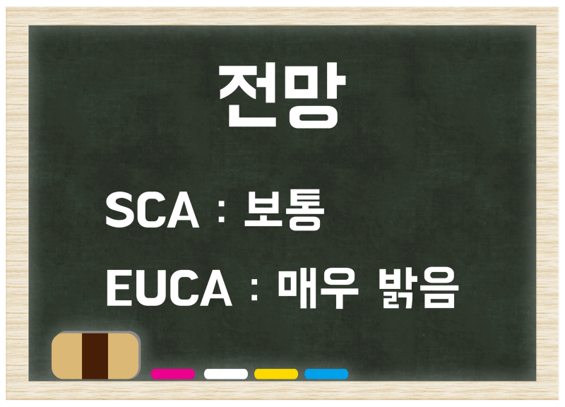 국제바리스타자격증 차이점 비교 (SCA자격증 vs EUCA자격증) : 네이버 블로그