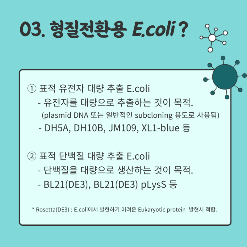 LMO E.coli 대장균 competent cell 종류 및 처리 방법 : 네이버 블로그