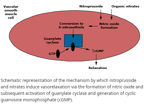 Isoket(이소켓), isosorbide dinitrate 약은 언제 사용하고 용량과 부작용은? : 네이버 블로그