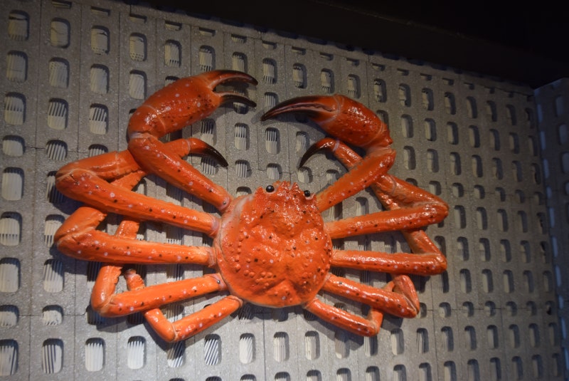 울진맛집 자꾸 생각나는 원조대게후포리 : 네이버 블로그